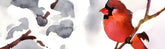 Bird Art | Wall Art Prints – Page 20