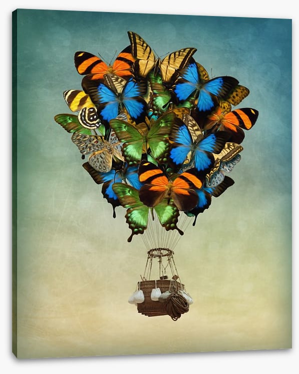 Butterfly Art | Wall Art Prints